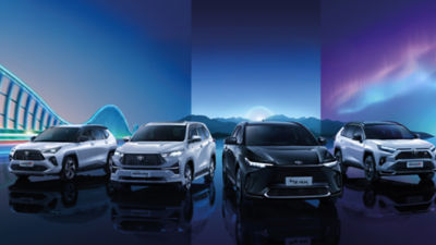 Paving the road towards better customer segmentation